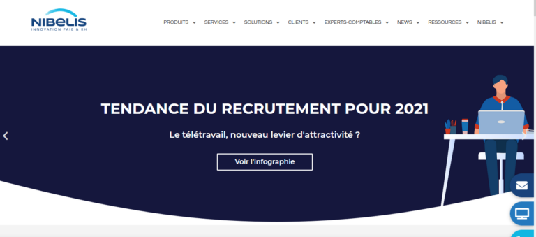 Avis et test de Nibelis · L'entrepreneuriat